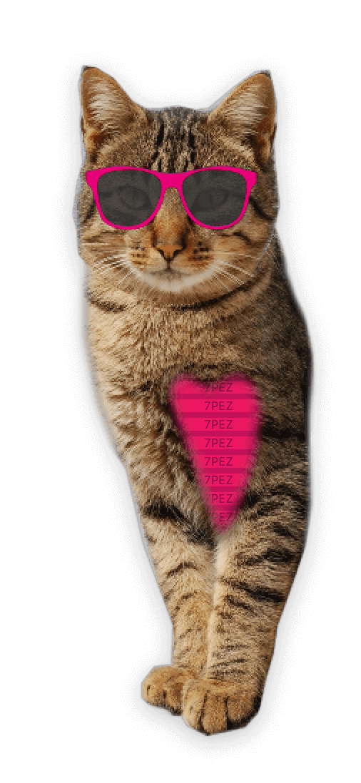 Create an Unzip application with a custom-skin, using PyQt